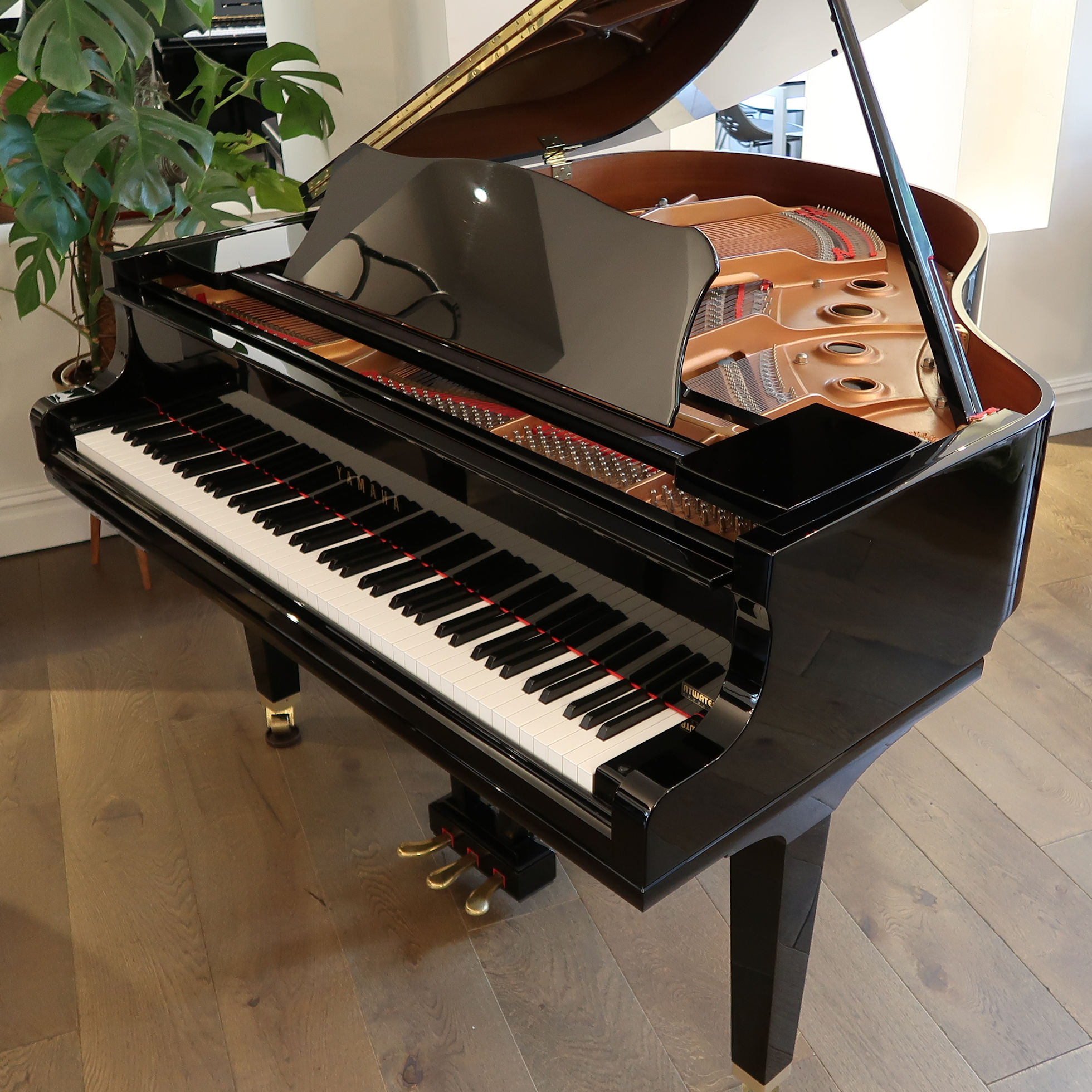 Yamaha GC1 Baby Grand Piano Ubicaciondepersonas cdmx gob mx